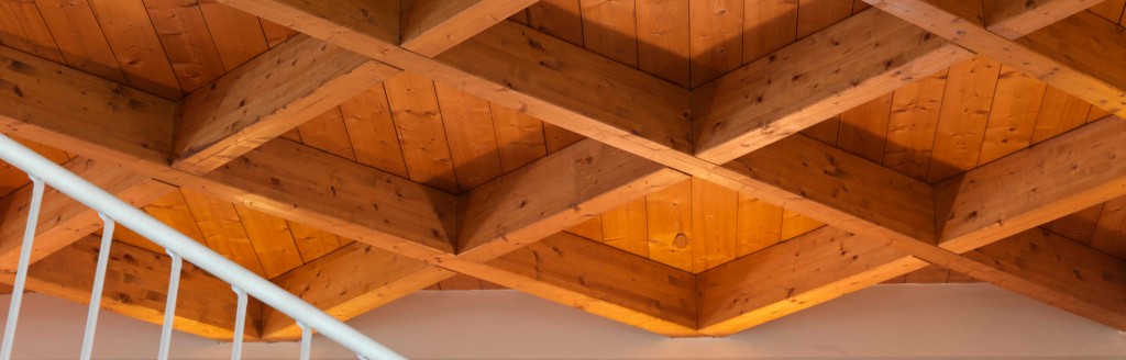 Strutture (coperture) in legno e tetto ventilato | Jove